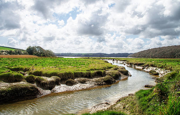 23. L'ARCEDEKNE - Fay Sampson