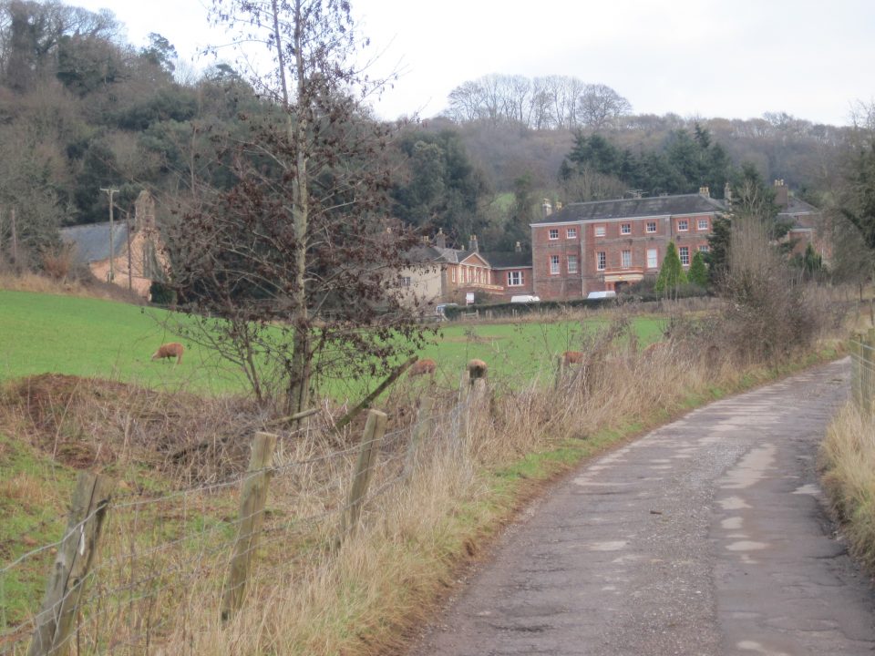 29. HACCOMBE - Fay Sampson